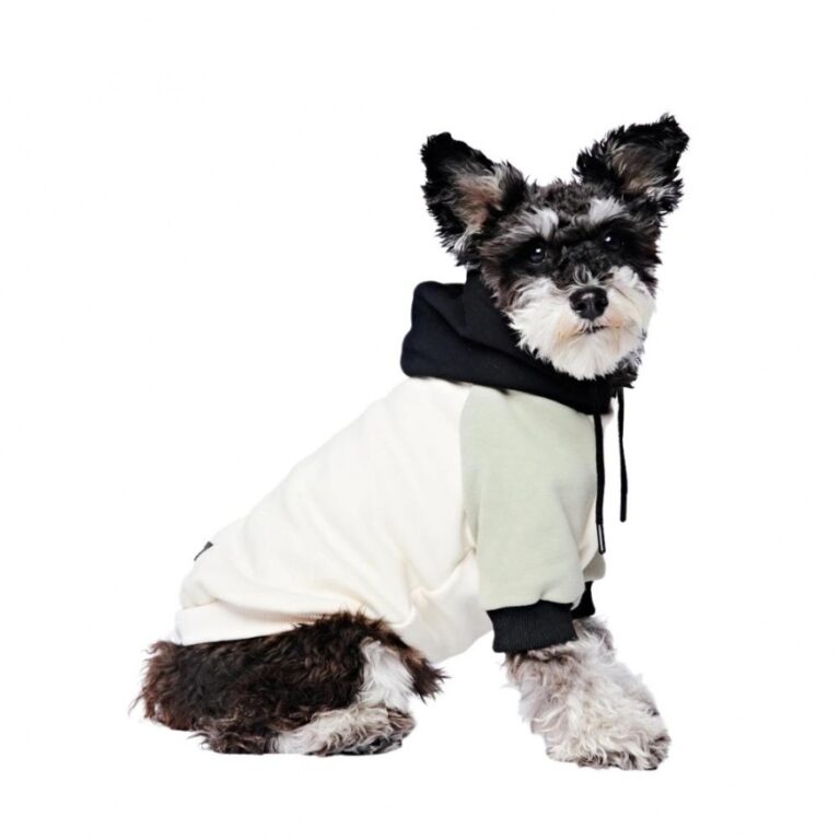 Spark Paws Hoodie Olive Cream - Pasja Gajba